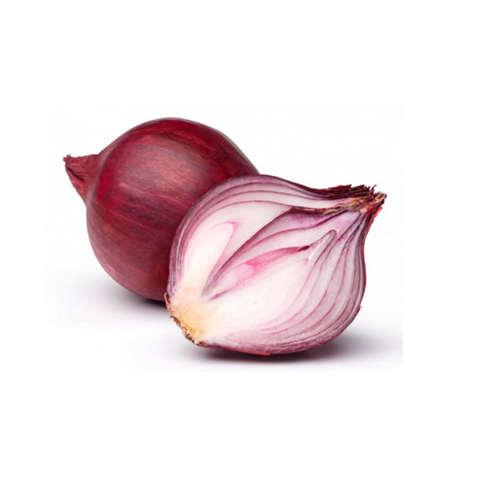 Cebolla archivos - Merkabastos