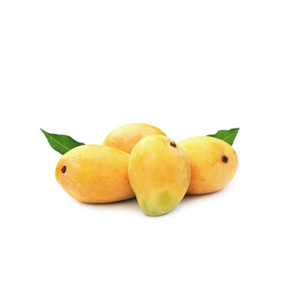 MANGO ATAULFO CALIBRE PRIMERA - Merkabastos